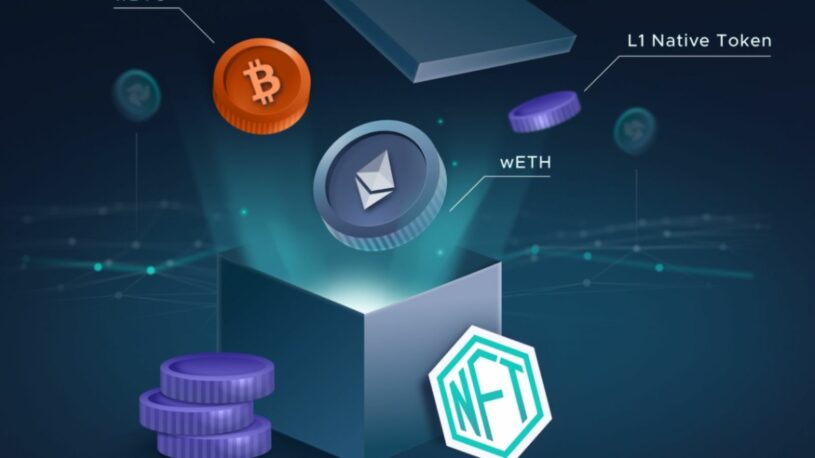 IOTA will "Tokenization of everything" bieten - Blockchainwelt